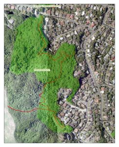 Aerial map Redwood Bush Reserve | Friends of Tawa Bush Reserves ...